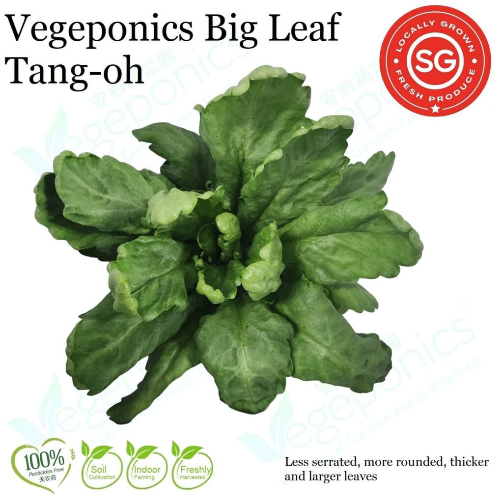 Shop - Vegeponics