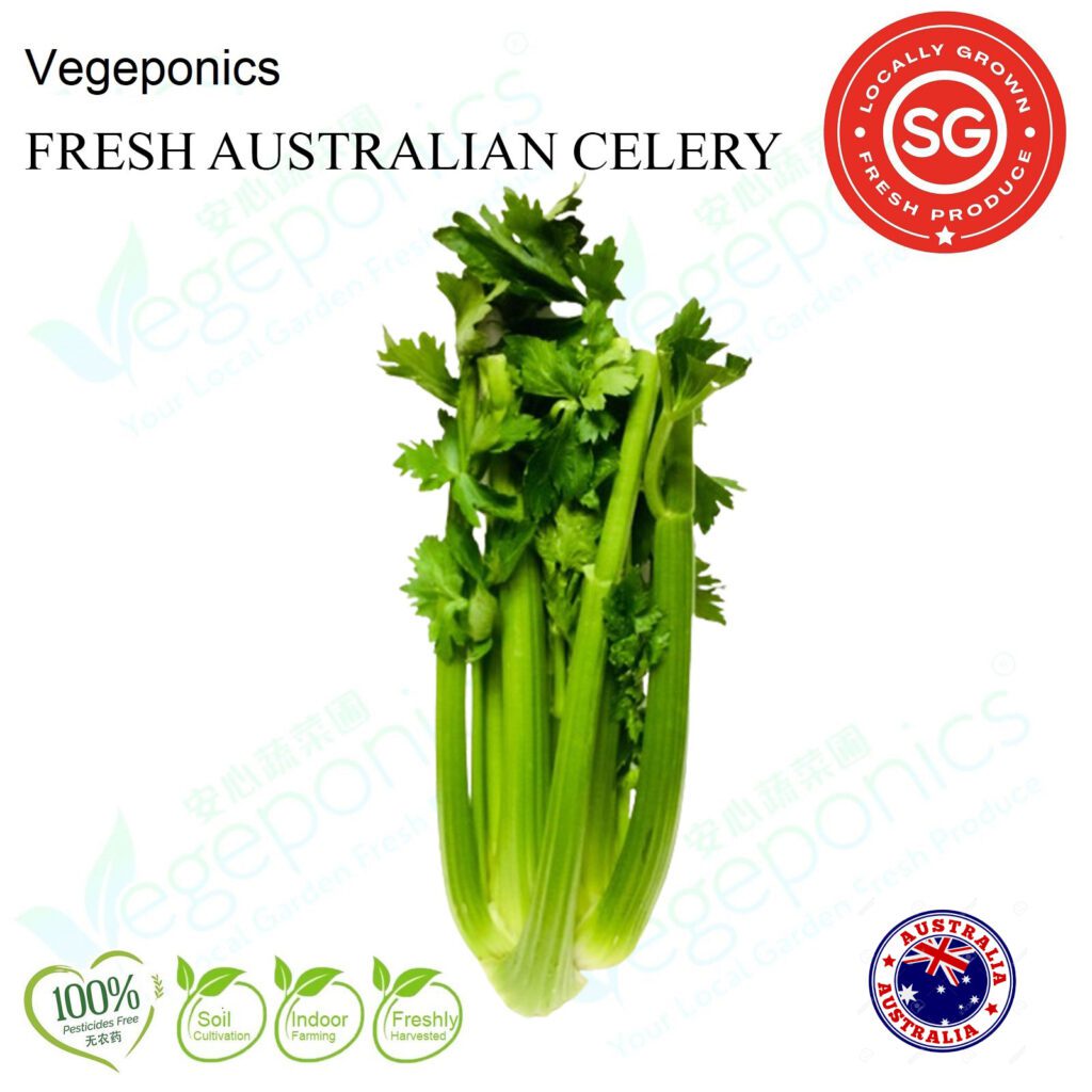 Home - Vegeponics